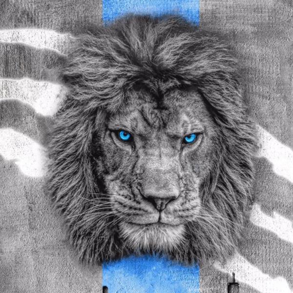 Staff - Lewisville Lions (Richburg, SC) Football 25-26