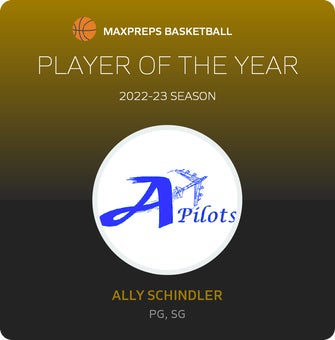 Ayersville High School (Defiance, OH) Girls Varsity Basketball