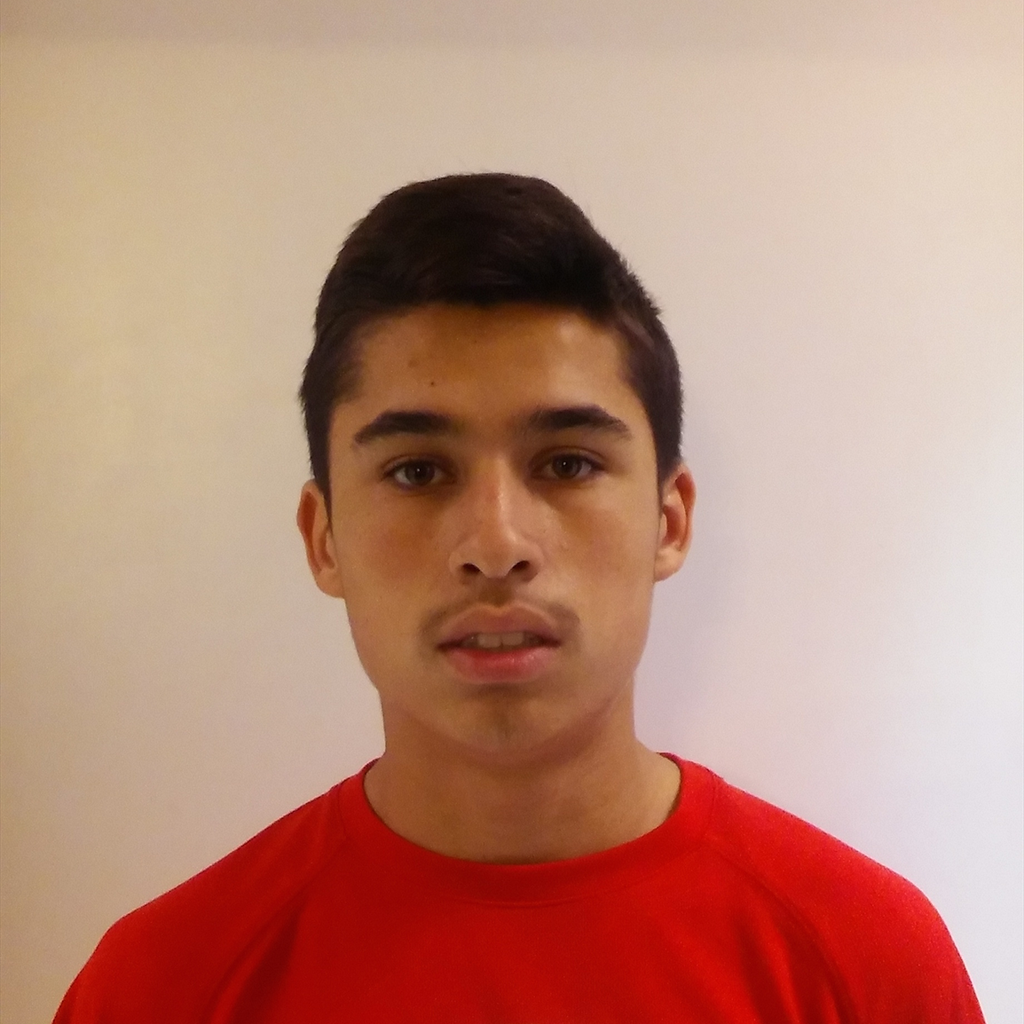 Alexis Anaya's Highland High School Career Home