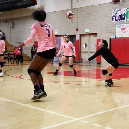 celeste vasquez csusb