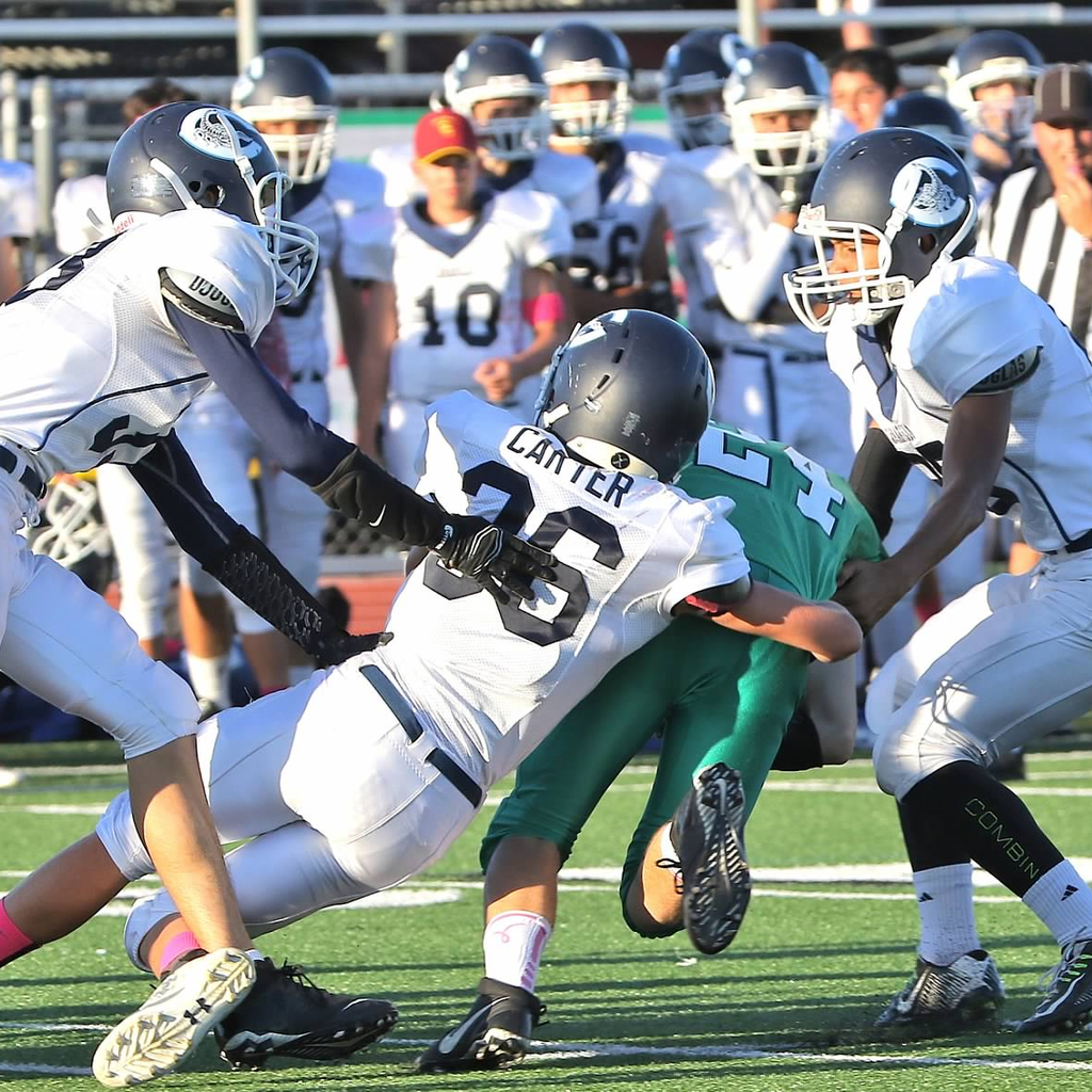 Drew Carter's High School Football Stats