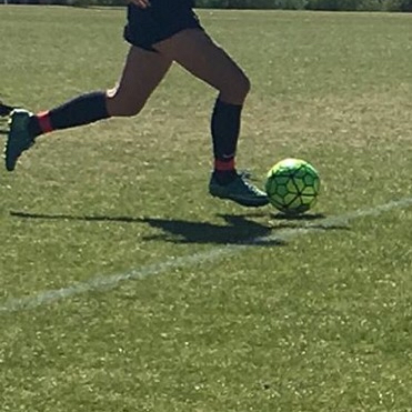 Arianna Correa's Thunderbird High School Bio