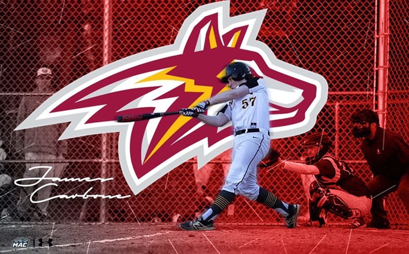 James carbone High School Baseball Stats Central Bucks West (Doylestown ...