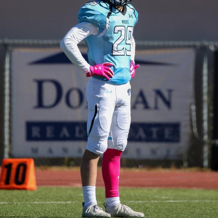 Austyn Larson's Vista Ridge High School Career Home