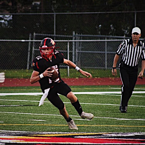 Talan Reese's (Bradford, PA) High School Football Stats