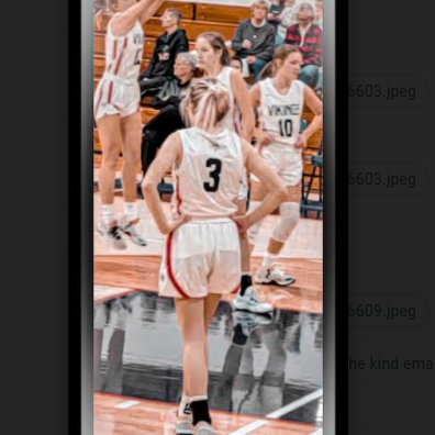 Sydney Fellers' Blue River Valley High School Career Home