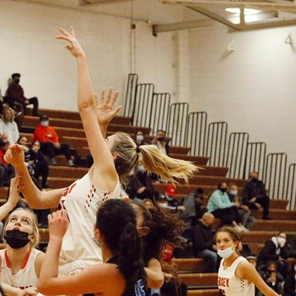 Annika Manthy's (Arlington Heights, IL) Hersey High School Career Home