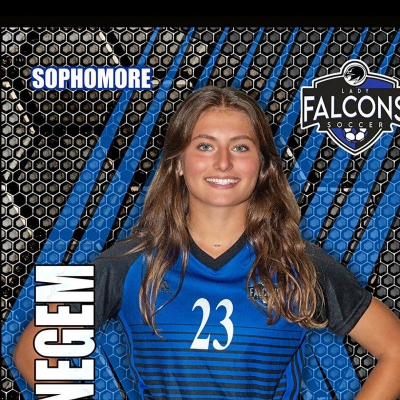 Ellen Van Caenegem's High School Career Home