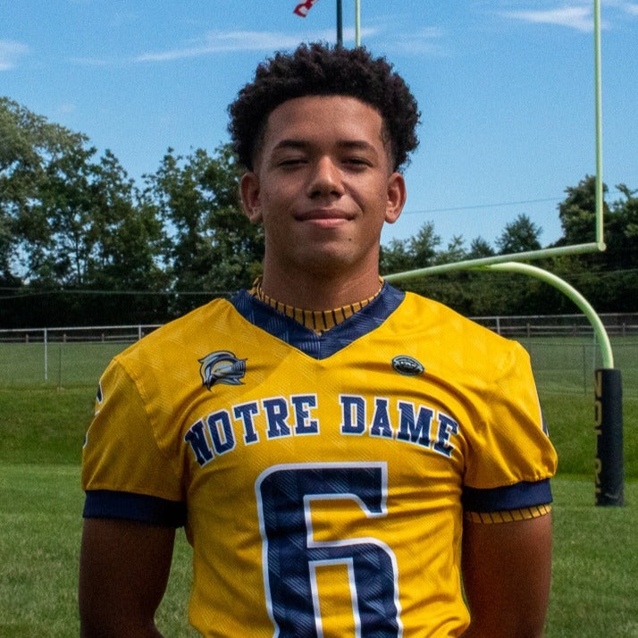 Alex Cruz, Jr.'s Notre Dame-Green Pond High School Football Stats