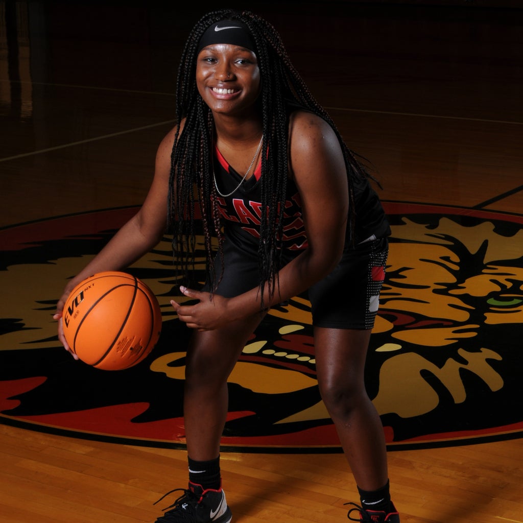 Chelsea Johnson's High School Basketball Stats