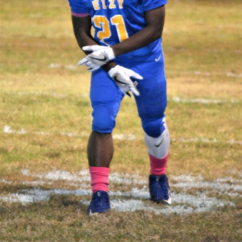 Dephabian Fant's (Greenwood, MS) Amanda Elzy High School Football Stats