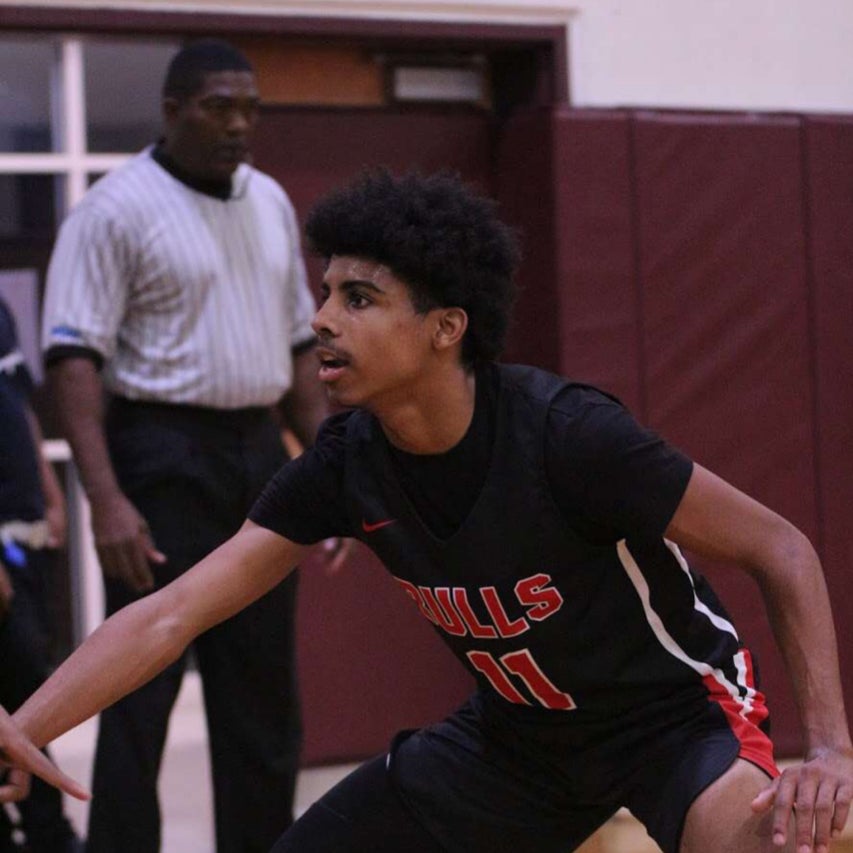 Damaury Mikula's Bloomingdale High School Basketball Stats