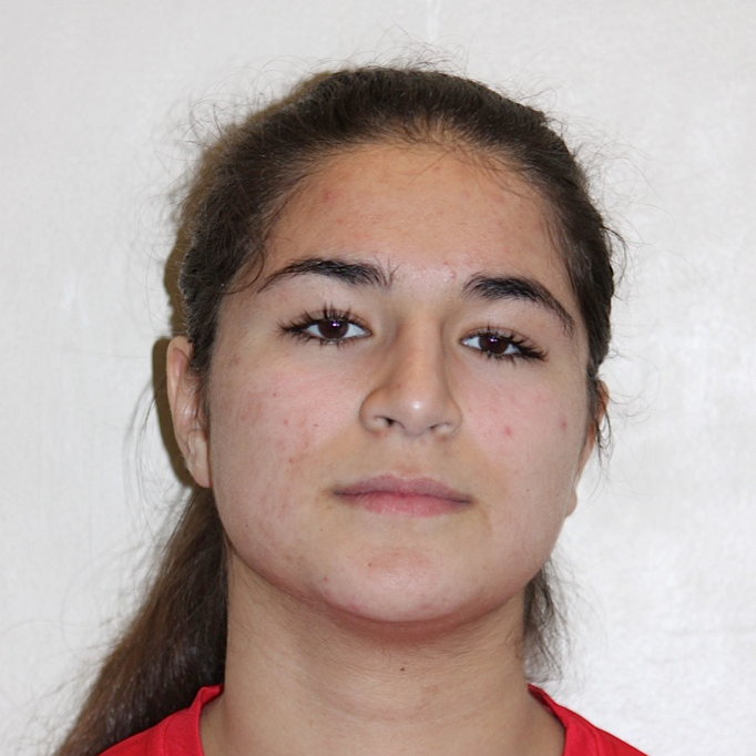 Sormeh Naderi's High School Career Home
