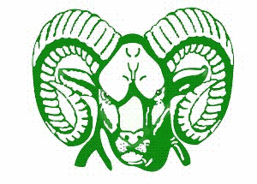 Brian Hoyle High School Football Stats Central Dauphin (Harrisburg, PA ...