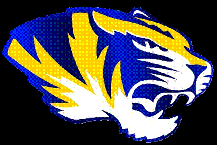 Saige Damrow High School Volleyball Stats Howards Grove (Howards Grove ...