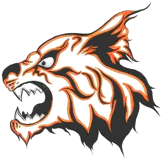 Mason Riddle High School Football Stats Branson/Kim (Branson, CO ...