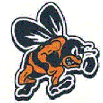 Travis Locke | Bridgman HS, Bridgman, MI | MaxPreps