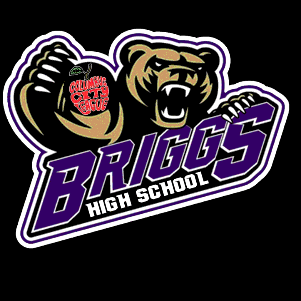 Austin Bowman | Briggs HS, Columbus, OH | MaxPreps