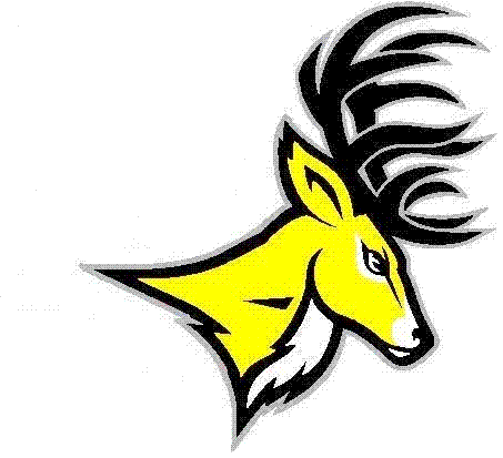 James carbone High School Baseball Stats Central Bucks West (Doylestown ...