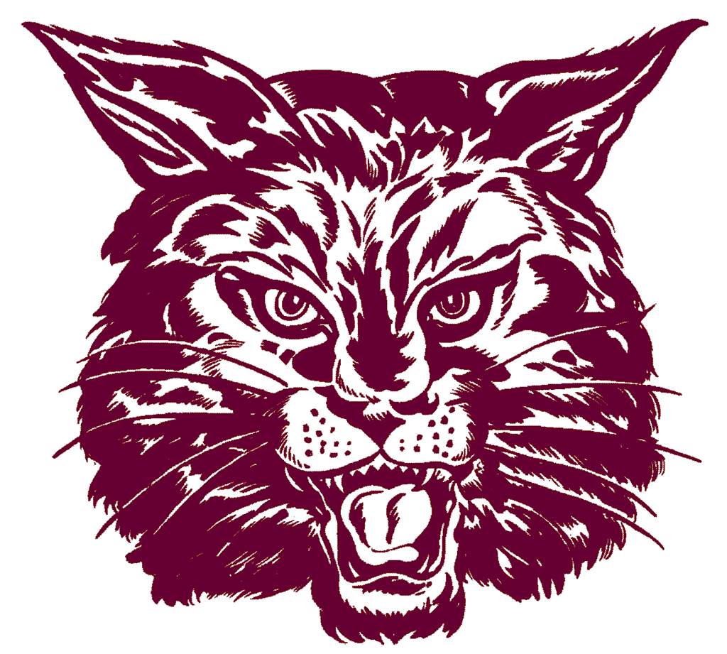 Chase Stephen Forester | Oak Ridge HS, Oak Ridge, TN | MaxPreps