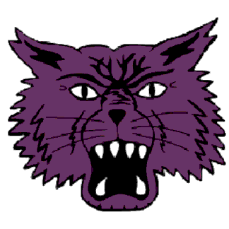 Dylan Stafford High School Basketball Stats Muncie Central (Muncie, IN ...