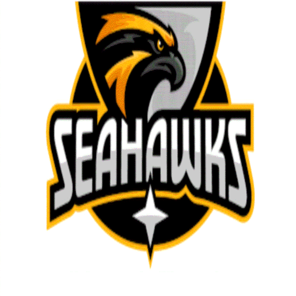 Basketball Recap: Cutler Matthew's Big Game Can't Quite Lead ...