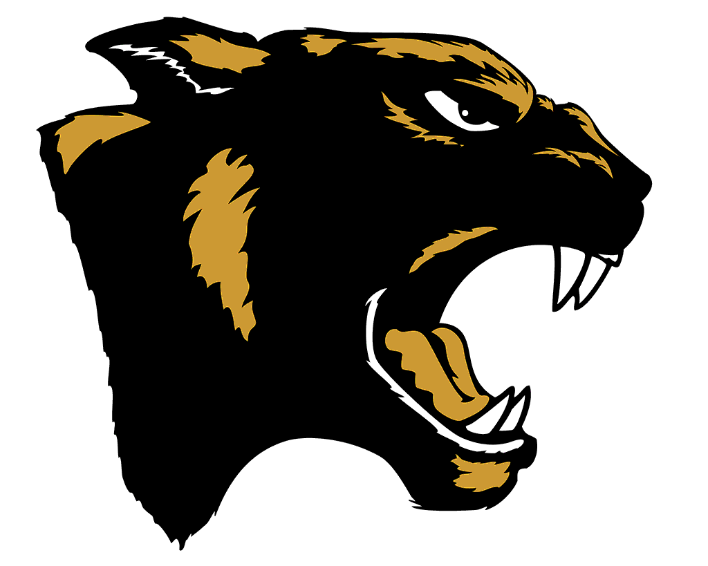 Emily Cicero High School Volleyball Stats Glenbard North (Carol Stream ...