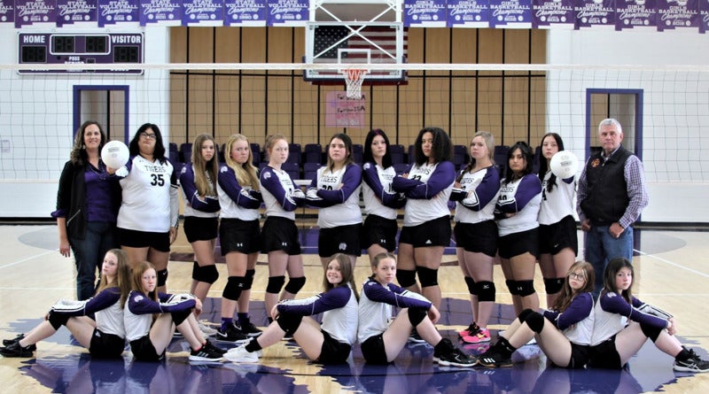 Elida High School (NM) Varsity Volleyball