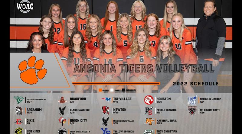 www ansonia tiger coloring pages com