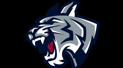 Team Preview - Woodland Wildcats Football (Cartersville, GA)