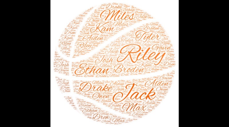 Hortonville High School (WI) Varsity Basketball