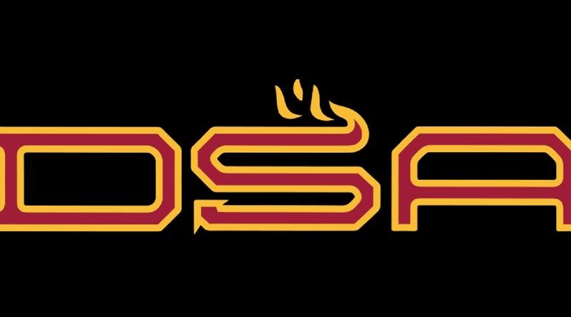 Del Sol High School (Las Vegas, NV) Girls Varsity Basketball