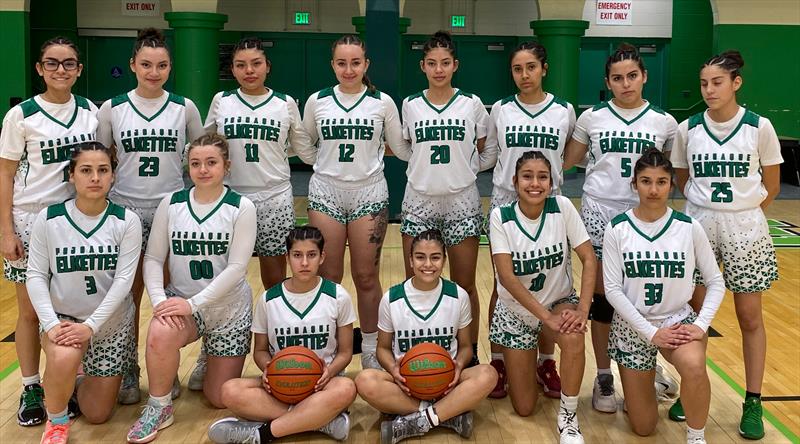 Pojoaque Valley High School (NM) Girls Varsity Basketball