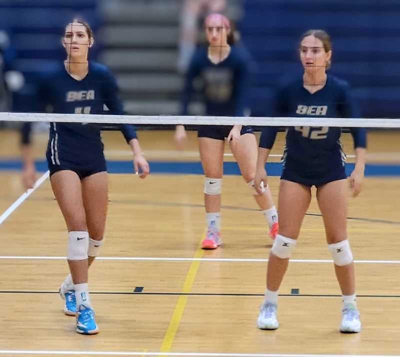 Bald Eagle Area Volleyball Roster (2023-24) - MaxPreps.com