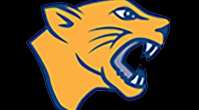 Team Preview - Cheltenham Panthers Football