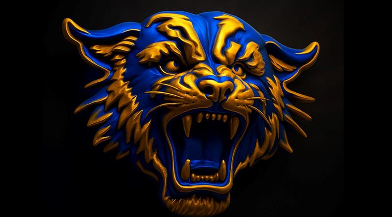 Raymondville High School (TX) Football