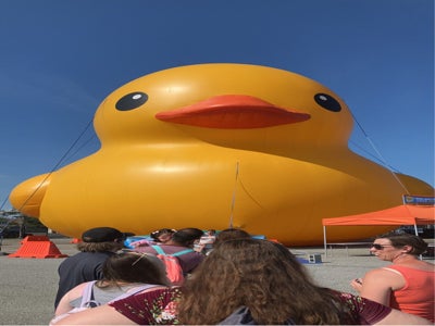 Washington High School (Princess Anne, MD) Varsity Football