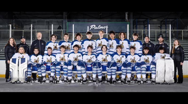 Palmer High School (AK) Boys Varsity Ice Hockey